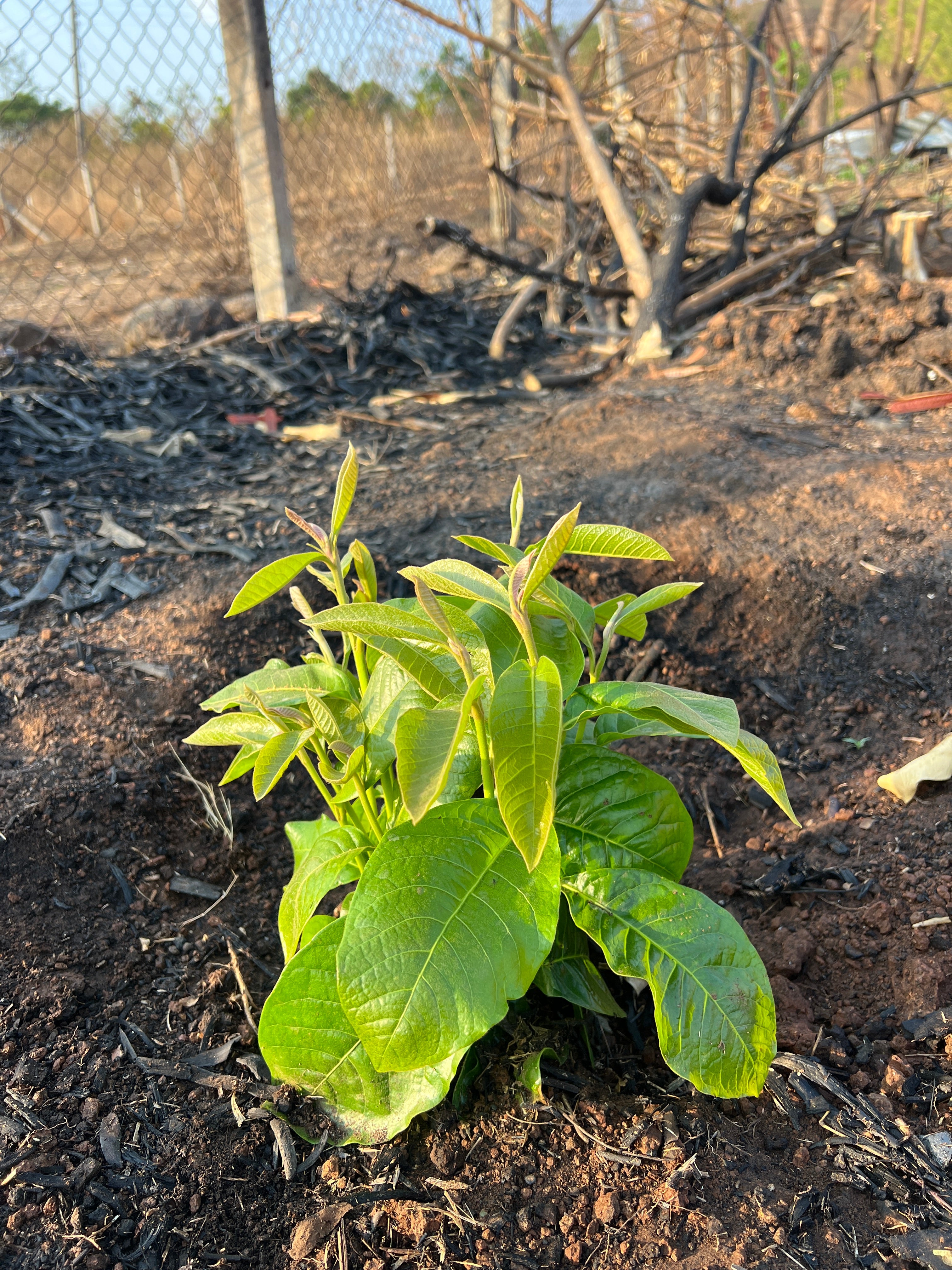 A Story Of reBirth!!! – reCharkha - The EcoSocial Tribe